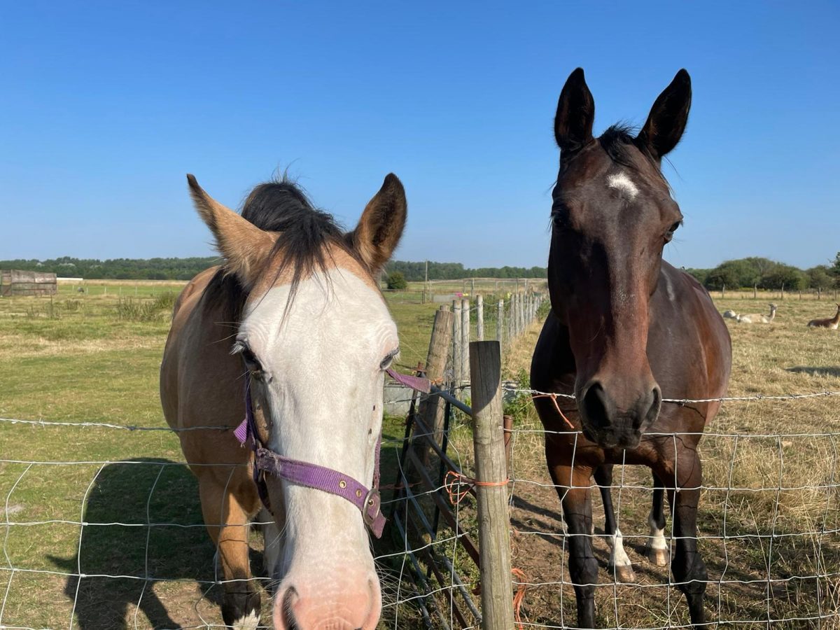 Alternative Provisions and Curriculum Enrichment. – The Dare2Dream ...